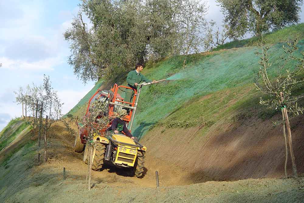 Semina di prato, idrosemina, prato pronto, prato a rotoli e sintetico Semina di prato, idrosemina, prato pronto, prato a rotoli e sintetico